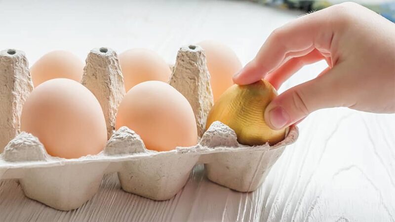 Eggflation and Protein Alternatives: Navigating Rising Costs and ...